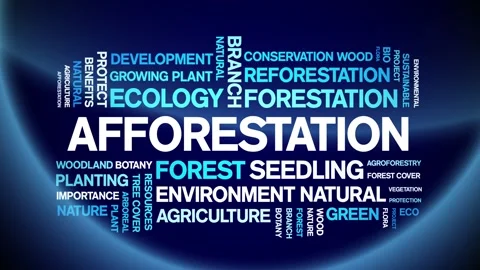 Afforestation animated word cloud,animat... | Stock Video | Pond5