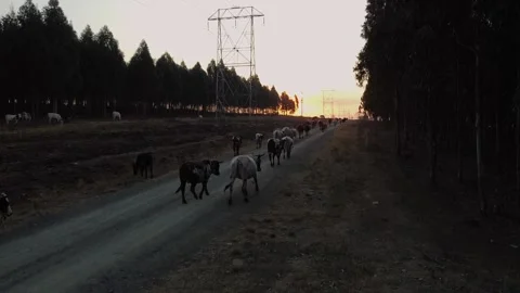 Power2Ship Video Stock Videos – Royalty-Free HD & 4K Videos | Pond5