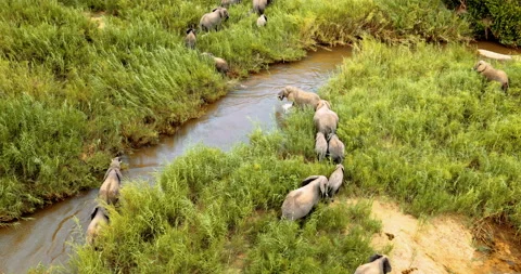 River Park Crossing Stock Videos – Royalty-Free HD & 4K Videos | Pond5