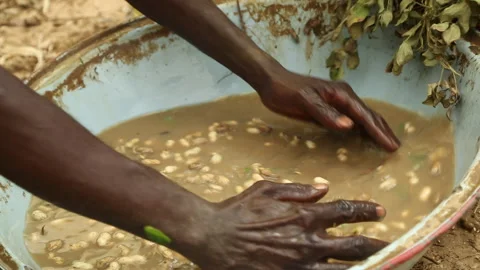 African Washing Hands Stock Footage ~ Royalty Free Stock Videos | Pond5