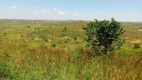 African Nature Stock Video Footage | Royalty Free African Nature Videos ...