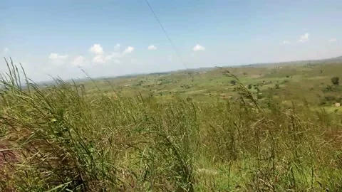 African Nature Stock Video Footage | Royalty Free African Nature Videos ...