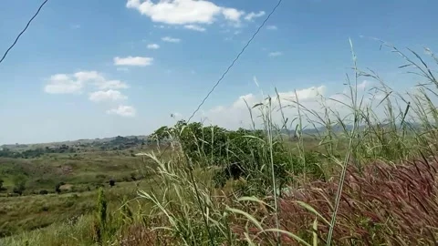 African Nature Stock Video Footage | Royalty Free African Nature Videos ...