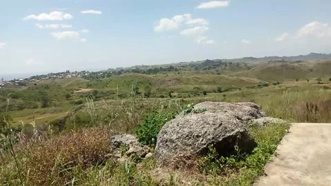 African Nature Stock Video Footage | Royalty Free African Nature Videos ...