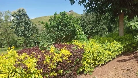 African Nature Stock Video Footage | Royalty Free African Nature Videos ...