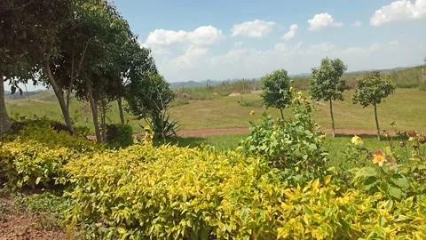 African Nature Stock Video Footage | Royalty Free African Nature Videos ...