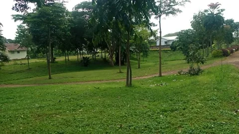 African Nature Stock Video Footage | Royalty Free African Nature Videos ...