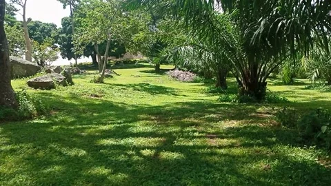 African Nature Stock Video Footage | Royalty Free African Nature Videos ...