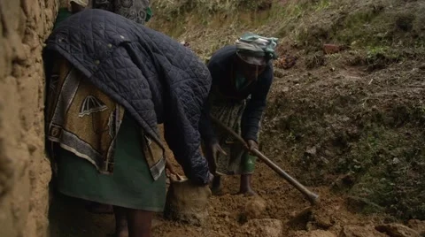 African People from Batwa Tribe Digging,... | Stock Video | Pond5