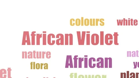 African Violet Word Cloud Animated On Wh... | Stock Video | Pond5