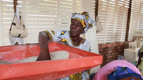 Chad Stock Videos – Royalty-Free HD & 4K Videos