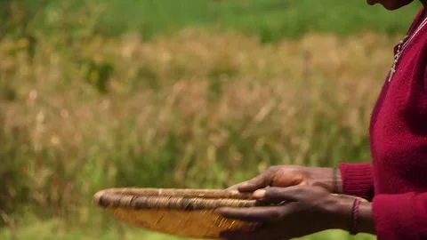 African woman sifting quinoa seeds. | Stock Video | Pond5