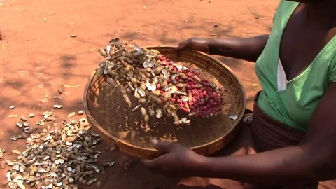African Woman Sorting Peanuts | Stock Video | Pond5