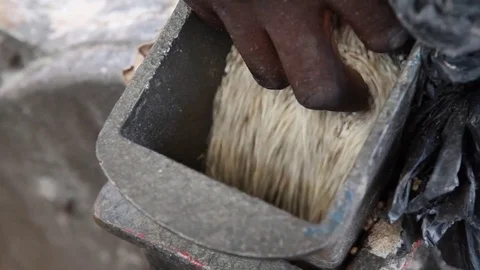 Millets Stock Footage ~ Royalty Free Stock Videos | Page 3