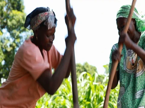 Chad Stock Videos – Royalty-Free HD & 4K Videos