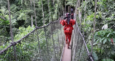 African women walking rainforest rope br... | Stock Video | Pond5