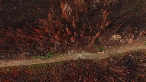 Road After Effects Stock Footage ~ Royalty Free Stock Videos | Pond5