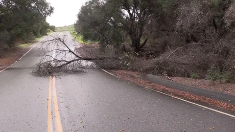 Camp Pendleton Weather Stock Videos – Royalty-Free HD & 4K Videos | Pond5