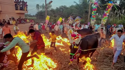 Sankranthi Celebrations Stock Footage ~ Royalty Free Stock Videos | Pond5