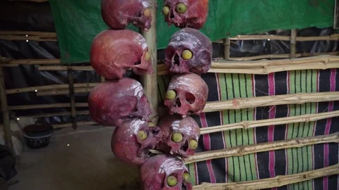 Aghori post-mortem ceremony ritual skull... | Stock Video | Pond5
