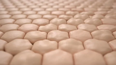 Aging and damaged skin cells, wave, 3D H... | Stock Video | Pond5