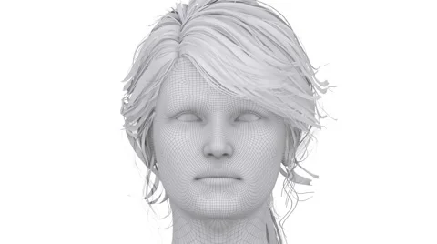 Aging Time Lapse Stock Footage ~ Royalty Free Stock Videos | Pond5