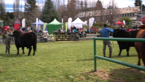 agricultural exhibition, farmers contest... | Stock Video | Pond5