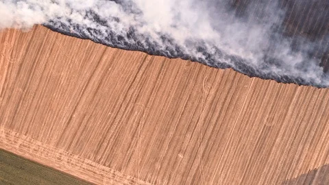 agricultural field destruction fire burn... | Stock Video | Pond5