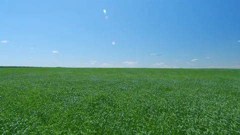 Sound Out Agricultural Stock Videos – Royalty-Free HD & 4K Videos | Pond5