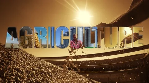 Video Clips Stock Video Footage | Royalty Free Video Clips Videos | Pond5