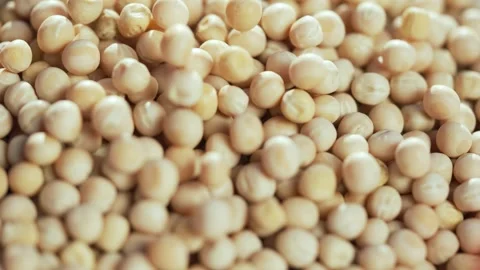 Farm Seeds Stock Videos – Royalty-Free HD & 4K Videos | Pond5