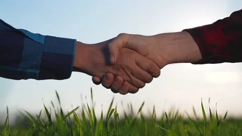 Handshake Stock Video Footage | Royalty Free Handshake Videos | Page 5