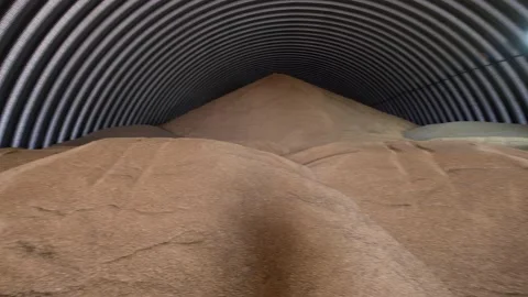 Agriculture Grain shortage Barley grain ... | Stock Video | Pond5