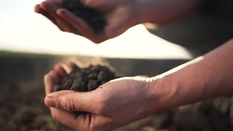 Agriculture. Soil is land in the hands o... | Stock Video | Pond5