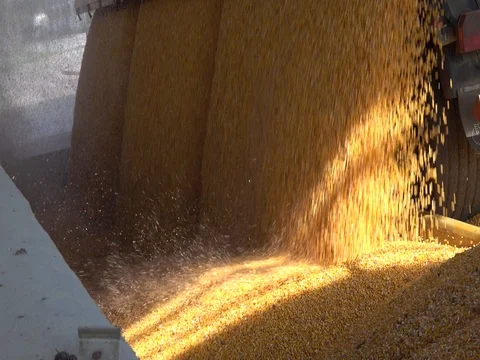 Agriculture Truck Loading Corn in silos ... | Stock Video | Pond5