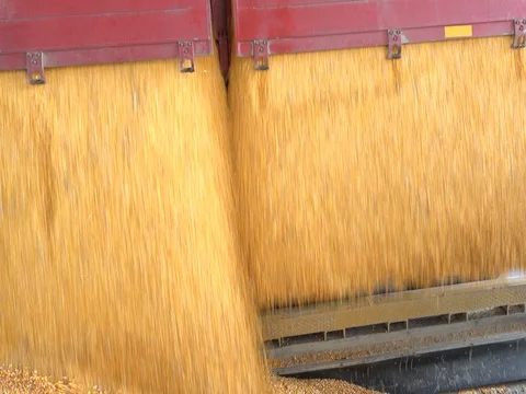 Agriculture Truck Loading Corn in silos ... | Stock Video | Pond5