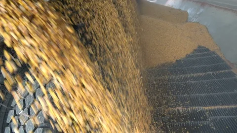 Agriculture Truck Loading Corn in silos ... | Stock Video | Pond5