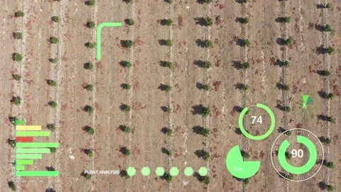 Agritech plant analysis concept, inspect... | Stock Video | Pond5