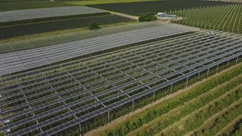 Agrivoltaics Solar Farm For Sustainable ... | Stock Video | Pond5