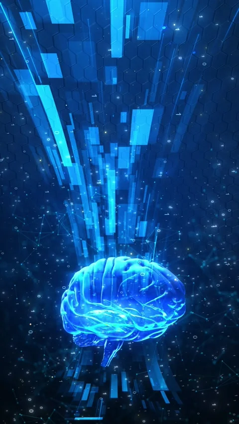 Bid Model Stock Videos – Royalty-Free HD & 4K Videos | Pond5