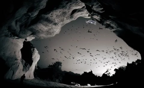 AI generated digital of a folck of birds... | Stock Video | Pond5