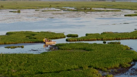 Air Boat Across Bayou with Passengers, D... | Stock Video | Pond5