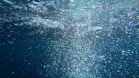Air bubbles rise to the top, from the se... | Stock Video | Pond5
