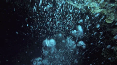 Air bubbles rising to ocean surface from... | Stock Video | Pond5