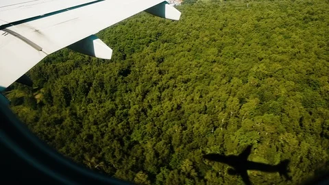 Window Flies Stock Videos – Royalty-Free HD & 4K Videos | Pond5