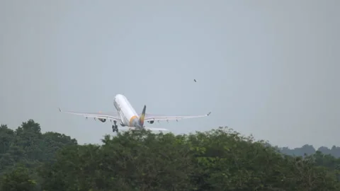 Thomas Cook Airlines Stock Videos – Royalty-Free HD & 4K Videos | Page 3