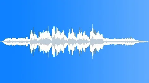 Airport announcement ~ Sound Effect Royalty Free #609492