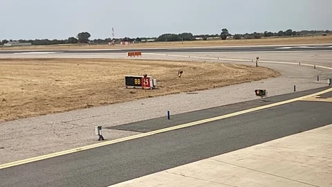 airport runway tarmac lights flashing | Stock Video | Pond5