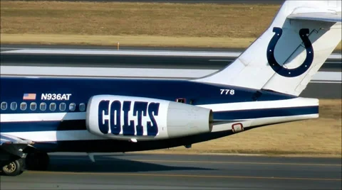 Colts Stock Video Footage | Royalty Free Colts Videos | Pond5