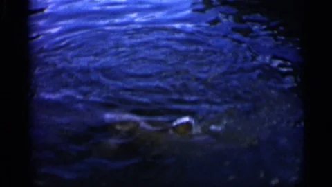 Shrek Stock Footage ~ Royalty Free Stock Videos | Pond5